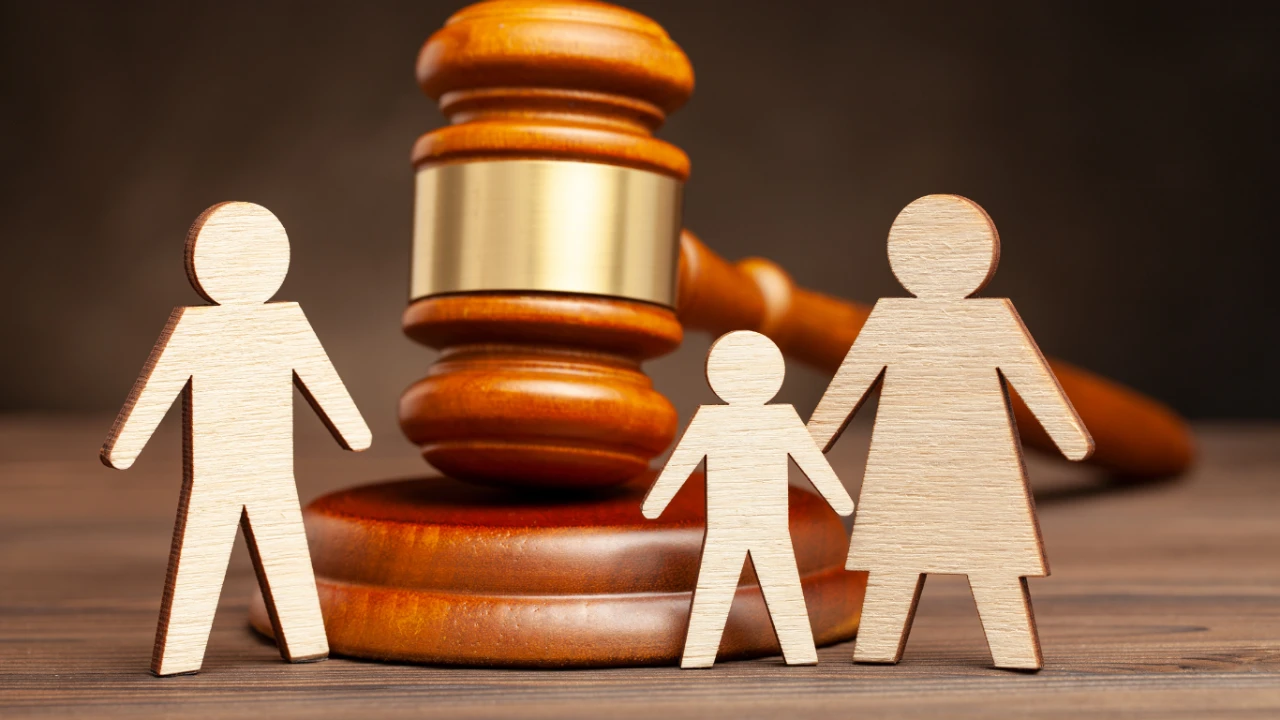 Illinois Child Support & Income Shares Model Explained